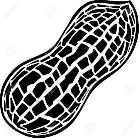 Peanut Shell Clipart 10 Free Cliparts Download Images On Clipground 2025