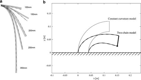 Simulation Results Of The Model A Comparison Of The Static Solution Download Scientific