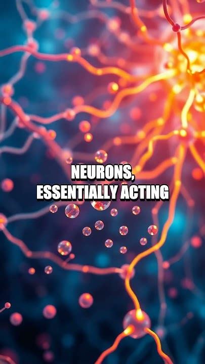 through the neural labyrinth unlocking brain mysteries youtube