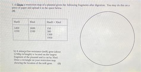 Solved 1 A Draw A Restriction Map Of A Plasmid Given The Following