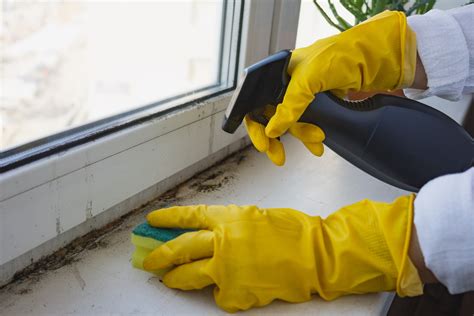 Make Pest Proofing A Necessity During Spring Cleaning Routines