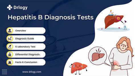 Top Hepatitis B Test Keywords Health Blogs Drlogy
