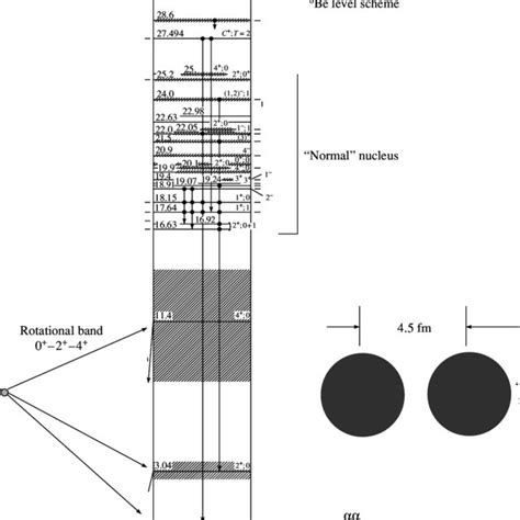 Normal Nucleus α Particle Boseeinstein Condensation State Download Scientific Diagram
