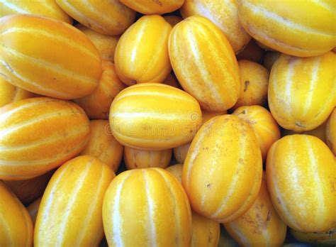 Cucumis fruit stock image. Image of fresh, grocery, supermarket - 44437329