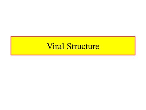 PPT Viral Structure PowerPoint Presentation Free Download ID 5580029