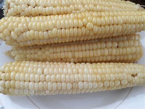 남촌농산물도매시장에서 옥수수 한자루 30개 8천원 구입 네이버 블로그