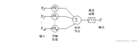 备战数学建模46 小波神经网络wnn攻坚站11小波神经网络模型 Csdn博客