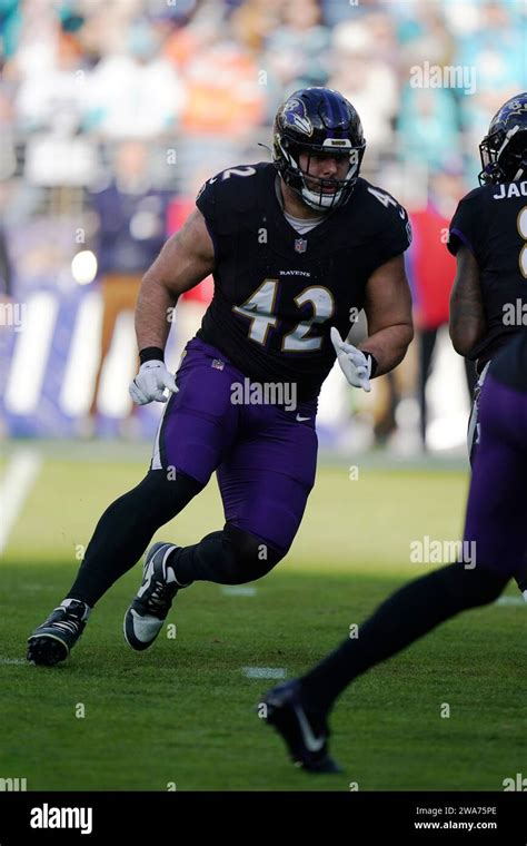 Baltimore Ravens Fullback Patrick Ricard 42 During An Nfl Football