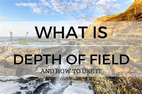 What Is Depth Of Field In Digital Photography And How To Use It Beginners