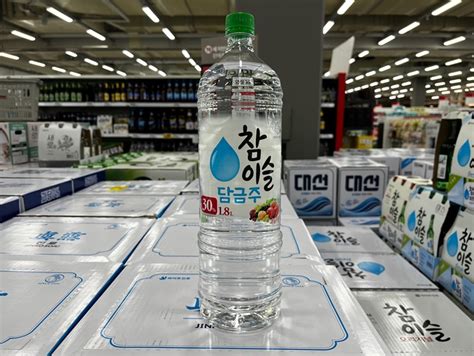 참이슬 처음처럼 담금주 대형마트 가격 종류 도수 소개 과실주 용 약재주 용