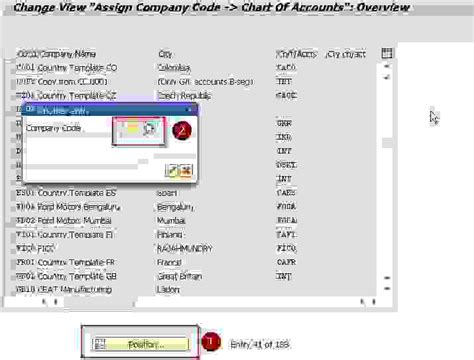 How To Define Chart Of Accounts In SAP Assign Company Code