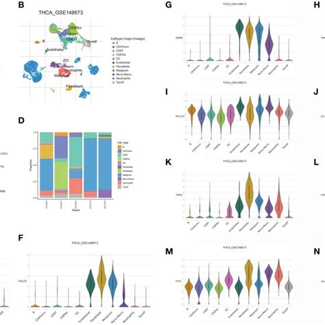 A B The Single Cell Demonstrated The Different Cell Types In The