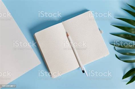 야자 수 잎 근처 파란색 배경에 누워 빈 시트와 연필매일 열린 스튜디오 샷 0명에 대한 스톡 사진 및 기타 이미지 0명 각도 개체 그룹 Istock