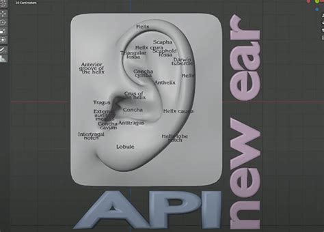 「3d Human Ear Generator」blenderで36種類のパラーメーター調整でオリジナルの耳を作れるジェネレーター • 3dcg最新情報サイト Modeling Happy