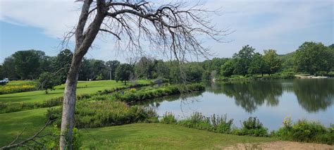 Lorianne Sewick Thank You Everyone For All The Facebook