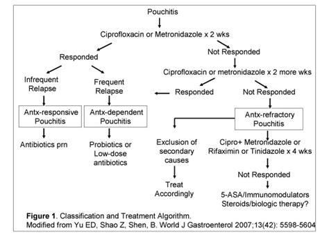 Rifaximin For Maintenance Therapy In Antibiotic Dependent Pouchitis Pmc