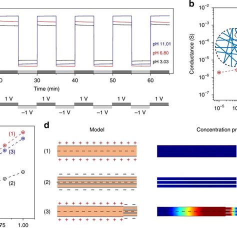High Performance Osmotic Energy Conversion A Schematic Of The Energy Download Scientific