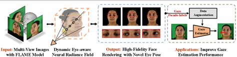 Figure 1 From High Fidelity Eye Animatable Neural Radiance Fields For Human Face Semantic Scholar