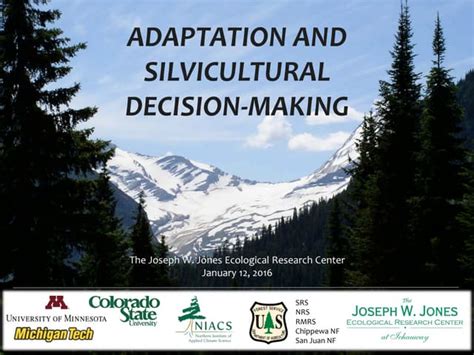 Adaptation And Silvicultural Decision Making Pdf Environment Science