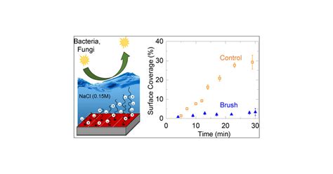 Fouling Resistance And Release Properties Of Polysulfobetaine Brushes With Varying Alkyl Chain