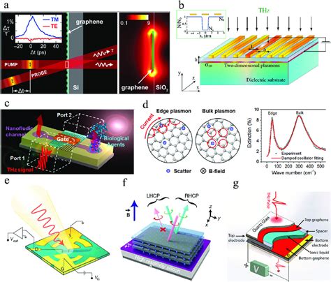 Thz Graphene Plasmonics And Graphene Based Thz Devices A Schematic Download Scientific