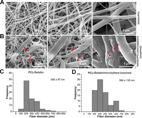 SEM Graphs Of PCL Gelatin Nanofibers A PCL Gelatin Paraffin Sphere Download Scientific Diagram