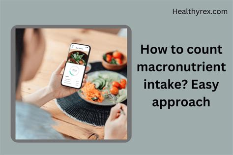How To Count Macronutrients Intake Easy Approach