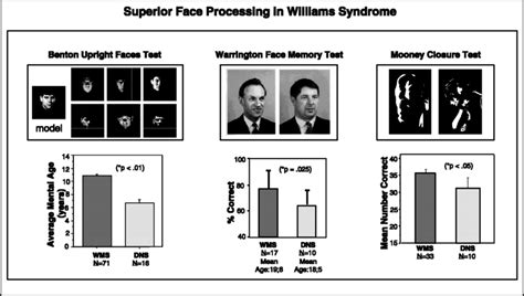 Across Three Tasks Involving Face Processing Benton Face Recognition