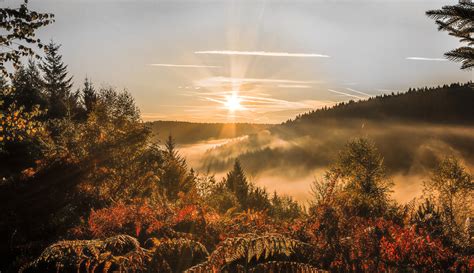 Sunset Autumn Forest Wallpapers Wallpaper Cave