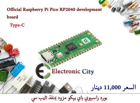Official Raspberry Pi Pico Rp2040 Development Board Type C 1226183