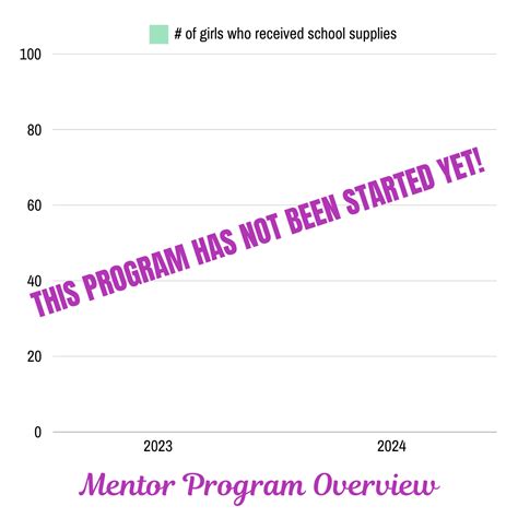 Mentor Program Report Princess And A Pad