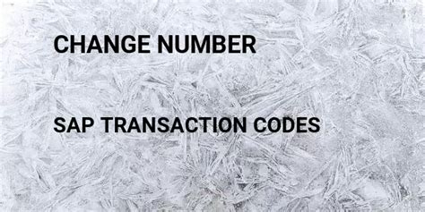 Change Number Tcode In SAP Transaction Codes List