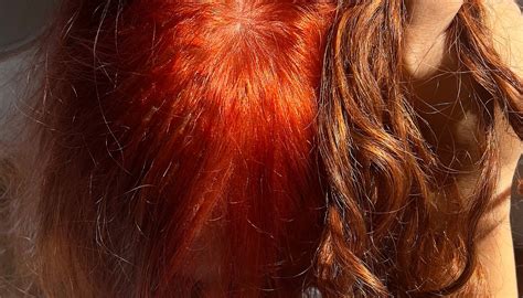 Sezer Hairstlye 2025 All You Need To Know Before You Go With Reviews