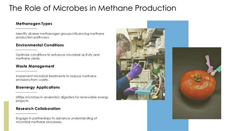 Understanding Biogenic Methane Sources And Impact Ppt Example St Ai Ppt Powerpoint