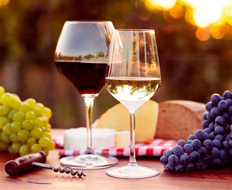 Vinos De Francia Los Más Importantes ¡más Antiguos De La Historia