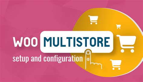 WooMultistore Plugin Setup And Configuration Service