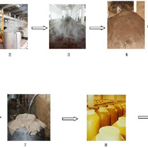 Brewing And Style Characteristics Of Four Kinds Of Baijiu Download Scientific Diagram