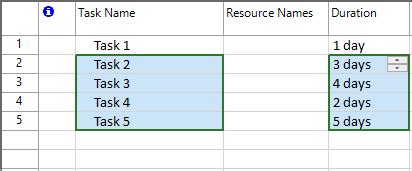 Fill In Grid Project Plan