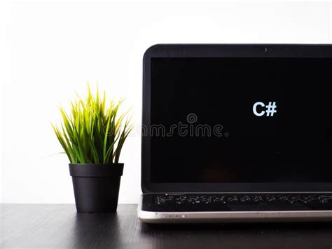 C Sharp Programming Language Programming Training The Concept Of