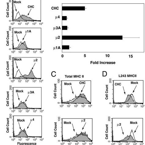 Facs Analysis Of Ii And Mhc Ii In Hela Ciita Cells Depleted Of Chc And