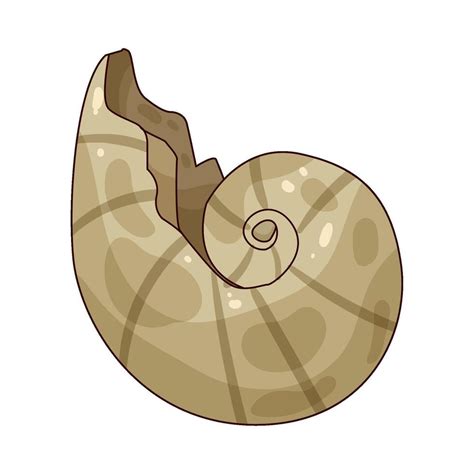 Illustration Of Ammonite Fossil 60463093 Vector Art At Vecteezy