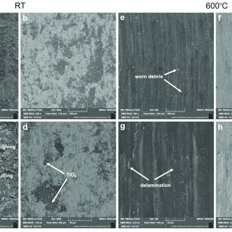 Worn Surface Of Sinters After Friction Wear Tests At 23 • C A D And Download Scientific