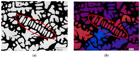 A Comparison Between Anodizing And Ebsd Techniques For Primary Particle