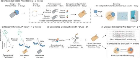 How A Synthetic Biology Platform For Biosensors Subramanian G Prof