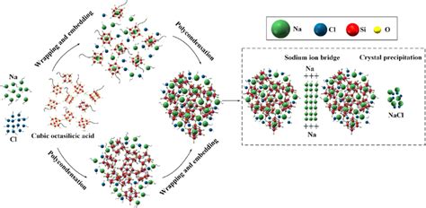 The Polymerization Process Of Cubic Octa Silicic Acid And Distribution