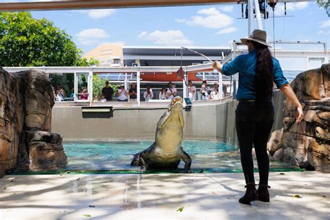 Darwin Crocosaurus Cove Entry Australian Day Tours