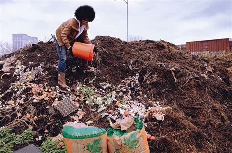 The Benefits Of Composting Why Its Important For The Environment And Your Garden By Curbside