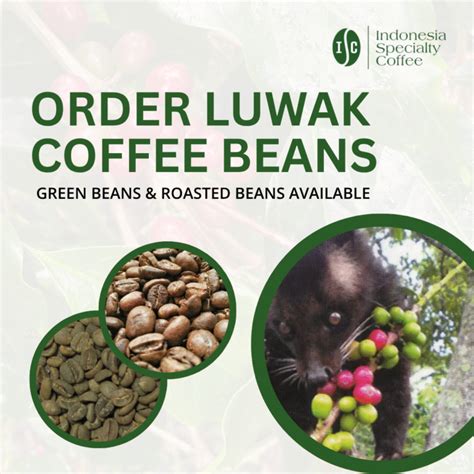 Indonesian National Standards For Green Coffee Beans Grading System