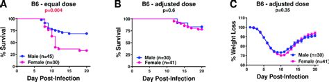 Sex Differences And Normalization Of Iav Severity In Male And Female B6