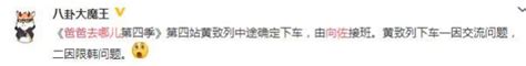 爸爸去哪儿4黄致列疑退出 向佐接替黄致列任李亦航爸爸娱乐新闻海峡网
